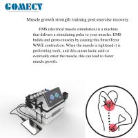 China 448K Smart TECAR Monopolar Radiofrequency Machine CET RET RF Tecar Machine for Physiotherapy and Recovery for sale