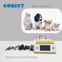 China 980nm Diode Laser Device for Animal Care and Veterinary Physical Therapy Vet Dental Clinic Use Machine for sale