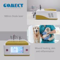 China 980nm Diode Laser Pet Class IV Laser Therapy Pain Reduce Veterinary Laser Therapy Machine for Animal Hospital for sale