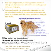 China 980nm Diode Laser Pet Class IV Laser Therapy Pain Reduce Veterinary Laser Therapy Machine for Animal Hospital for sale