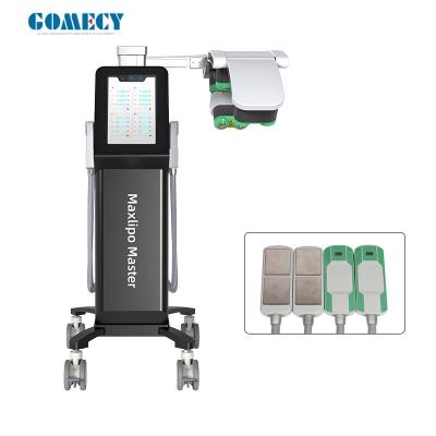 China GMS-865 10D Laser Lipo Body Sculpting Machine , Radio Frequency Weight Loss Cryolipolysis Fat Freeze Slimming Machine for sale