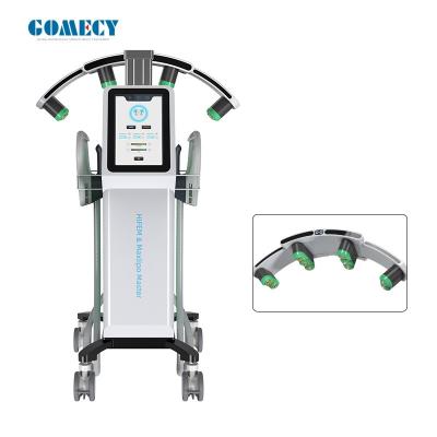 China Gomecy 2025 Effortless Fat Loss: Painless Maxlipo 10d Laser + EMS Physiotherapy Machine for sale