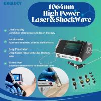 China 1064 High Power Laser Pneumatic Shockwave Therapy Machine Physiotherapy Machine for sale