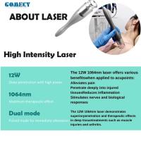 China 2 In 1 High Intensity Shockwave Therapy Device Physiotherapy 1064Nm Class IV High Power Therapeutic Laser For Pain Management for sale