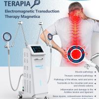 China Pain Relief Magnetic Therapy Physio Magneto Physiotherapy Rehabilitation Extracorporeal Magnetic Transduction Therapy Machine for sale