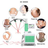China GOMECY 10D 800W Diode Light Body Shaping Muscle Stimulation Equipment for Slimming Beauty Non-Touching 7 Tesla Hiemt for sale
