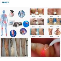 China Gomecy 980nm 1470nm Laser Therapy Machine for Lipolysis Facial Fat Reduction Red Vein and Dental Applications for sale