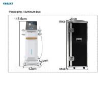China Advanced Physiotherapy Shockwave Therapy Machine for Erectile Dysfunction and Musculoskeletal Treatment for sale