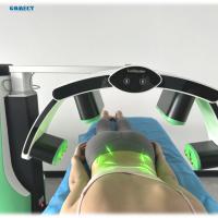 China Gomecy Vertical 10D Laser Lipo Green Light MLD Equipment for Body Shaping Fat Burning for sale