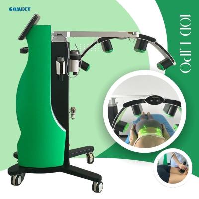 China Gomecy Vertical 10D Laser Lipo Green Light MLD Equipment for Body Shaping Fat Burning for sale