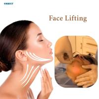 China Professional 980nm 1470nm Laser Lipolysis Machine for Deep Fat Melting and Facial Slimming Sculpting Solutions for sale