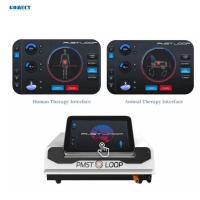 China Gomecy PMST LOOP PEMF Therapy Device for Back Neck Joint and Tendon Conditions with Lasting Effects for sale