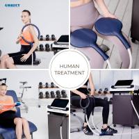 China Gomecy PMST LOOP PEMF Therapy Device for Back Neck Joint and Tendon Conditions with Lasting Effects for sale