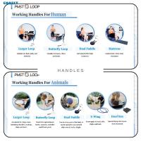 China Gomecy PMST LOOP PEMF Therapy Device for Back Neck Joint and Tendon Conditions with Lasting Effects for sale