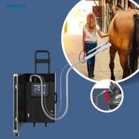 China Professional PEMF Vet Horse Treatment Machine Magnetotherapy Device for Pain Relief for sale