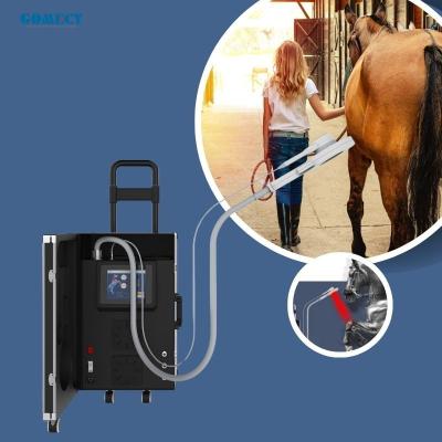 China Professional PEMF Vet Horse Treatment Machine Magnetotherapy Device for Pain Relief for sale
