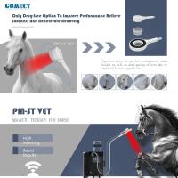 China Professional PEMF Vet Horse Treatment Machine Magnetotherapy Device for Pain Relief for sale