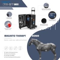 China Professional PEMF Vet Horse Treatment Machine Magnetotherapy Device for Pain Relief for sale
