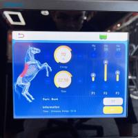 China Professional PEMF Vet Horse Treatment Machine Magnetotherapy Device for Pain Relief for sale