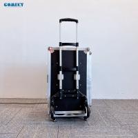 China Professional PEMF Vet Horse Treatment Machine Magnetotherapy Device for Pain Relief for sale