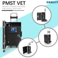 China Veterinary Pain Relief Magnetic Therapy Physical Rehabilitation Device For Horse Health Care for sale