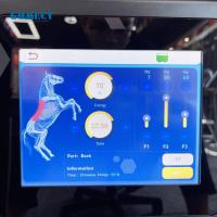 China Veterinary Pain Relief Magnetic Therapy Physical Rehabilitation Device For Horse Health Care for sale