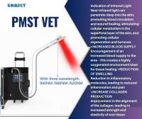 China Veterinary Pain Relief Magnetic Therapy Physical Rehabilitation Device For Horse Health Care for sale