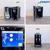 China Veterinary Pain Relief Magnetic Therapy Physical Rehabilitation Device For Horse Health Care for sale
