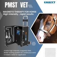 China Veterinary Pain Relief Magnetic Therapy Physical Rehabilitation Device For Horse Health Care for sale