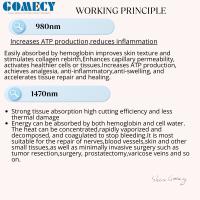 China 2025 Gomecy Hottest 635nm Healing Laser 980nm 1470nm EVLT Hemorrhoids Endolifting Anti Inflammation Therapy Device for sale