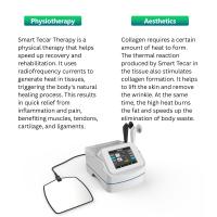 China Smart Tecar RF Therapy Machine for Pain Relief, Muscle Recovery, Skin Tightening, Wrinkle Removal, Cellulite Reduction, Dual Frequency 300KHZ 448KHZ Physiotherapy & Beauty Device for sale