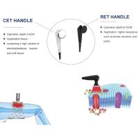 China Smart Tecar RF Therapy Machine for Pain Relief, Muscle Recovery, Skin Tightening, Wrinkle Removal, Cellulite Reduction, Dual Frequency 300KHZ 448KHZ Physiotherapy & Beauty Device for sale