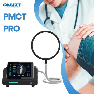China Pemf Magnetic Therapy Mat Horse Pain Relief Sport Injuries Rehabilitation Emtt Recovery Pemf Mat Therapy Machine Pemf Loop for sale