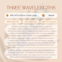 China 980nm 1470nm 635nm Triple Wavelength Diode Laser Vascular Fat Skin Rejuvenation for sale