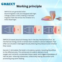 China 2025 Professional Focus Shockwave Therapy Machine for Physiotherapy Clinics for sale