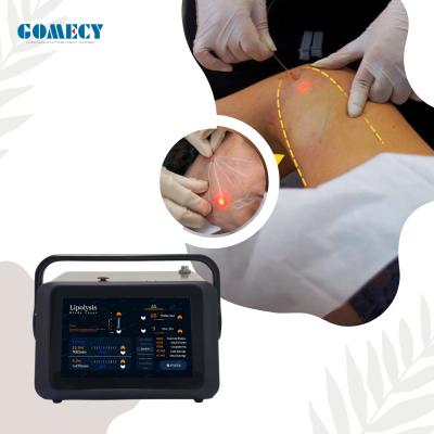 China Medical 1470nm 980nm Diode Laser for Varicose Vein Removal and Adipose Tissue Reduction PrismaLift Device for sale