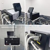 China Dual Program PEMF Therapy Machine for Human and Animal Pain Relief and Rehabilitation for sale