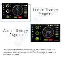 China High Intensity PEMF Therapy Device with Human and Animal Treatment Programs for sale