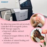 China High Intensity PEMF Therapy Device with Human and Animal Treatment Programs for sale