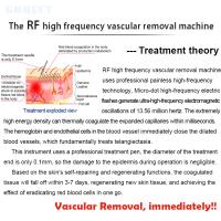 China Professional Skin Management Radio Frequency Vascular Care Device With Electrolysis Hair Removal Integration for sale