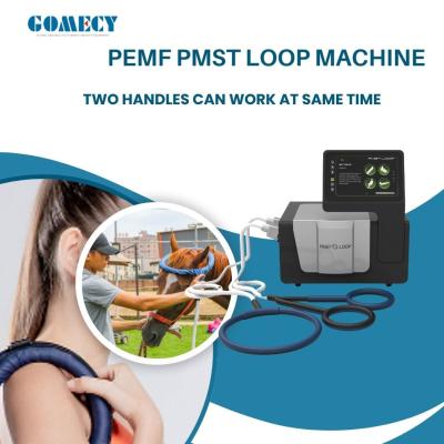 China Physiotherapy Clinic PEMF LOOP Magnetic for Human Pain Relief Muscle Rehabilitation Physio Magneto Therapy Dispositivo Pemf Mat for sale