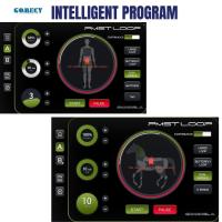 China Dual Channel Pemf Muscle Stimulation Pemf Machine For Muscle Recovery Inflammation Reduction With Full Body PMEF MAT Paddle for sale