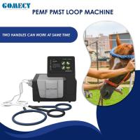 China Dual Channel Pemf Muscle Stimulation Pemf Machine For Muscle Recovery Inflammation Reduction With Full Body PMEF MAT Paddle for sale