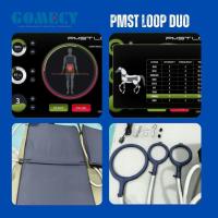 China PMST Loop Duo Magnetic Therapy Machine PEMF Pulsed Electromagnetic Field Device for Comprehensive Pain Management and Physiotherapy Care for sale