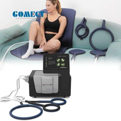 China Dual High Intensity Physiotherapy Pemf Therapy Mat Pain Relief Equipment Pemf Magnetic Therapy Device for sale