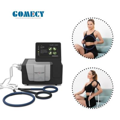 China PMST LOOP Duo Pemf Mat Physio Magnetotherapy Magnetic Therapy Ring Human Body Pain Relief and Muscle Rehabilitation Easy Return for sale