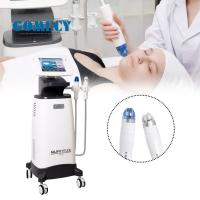 China Multifunctional Microneedle RF Beauty Machine Portable Spare Parts Accessories Micro Wrinkle Removal for sale