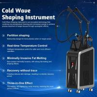 China Cold Wave Slimming Machine Combining Intelligent Energy Control with High Frequency Technology for Effective Results for sale