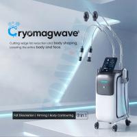 China High Intensity 6.6 Tesla Electromagnetic Muscle Stimulator Cryomagwave Microwave Fat Dissolving Machine 3 Probes for Body Contouring for sale