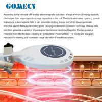 China Advanced PMST Magnetic Field Therapy System with Dual Applicators Rehabilitation Centers for sale
